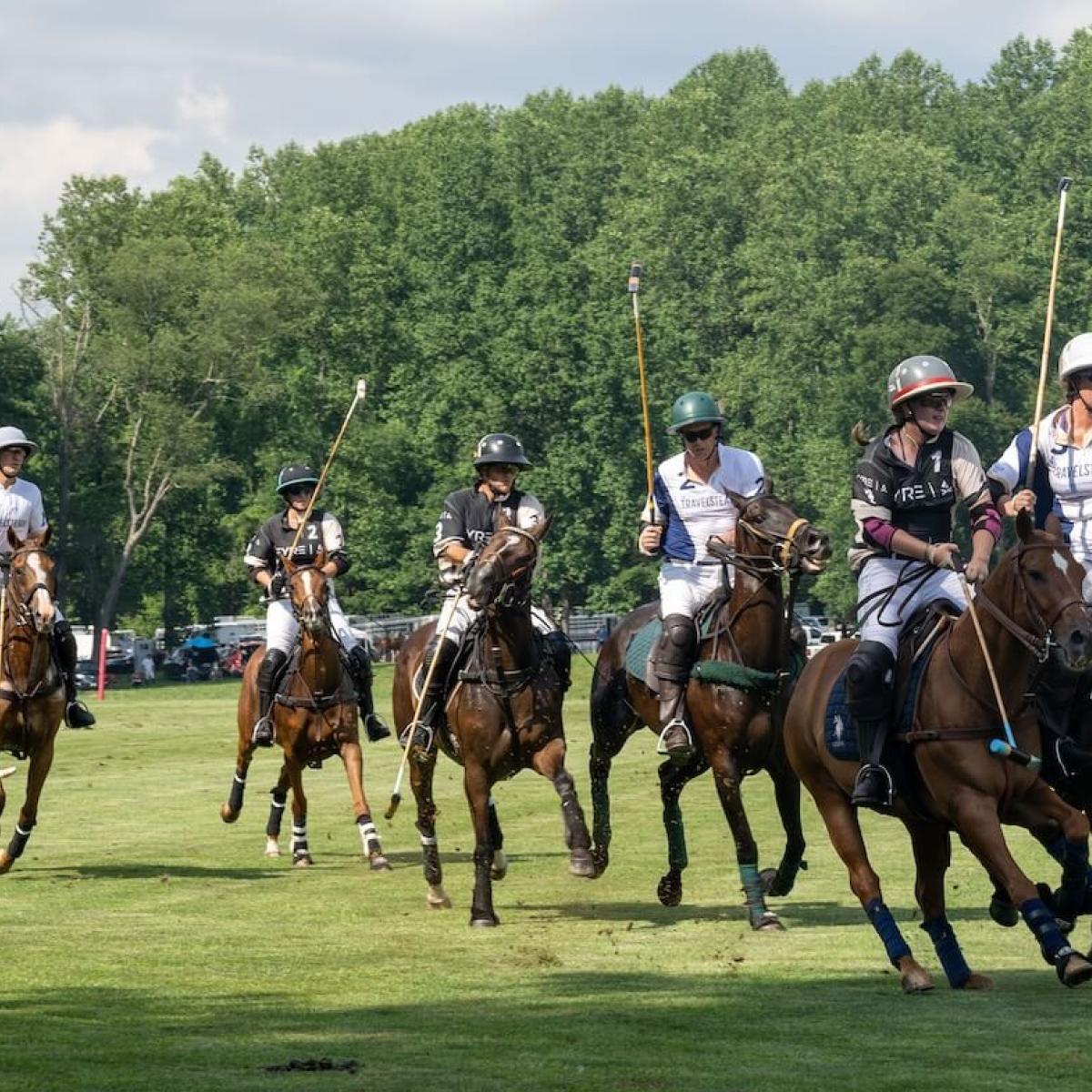The St. George's Polo Cup | St. George's Society